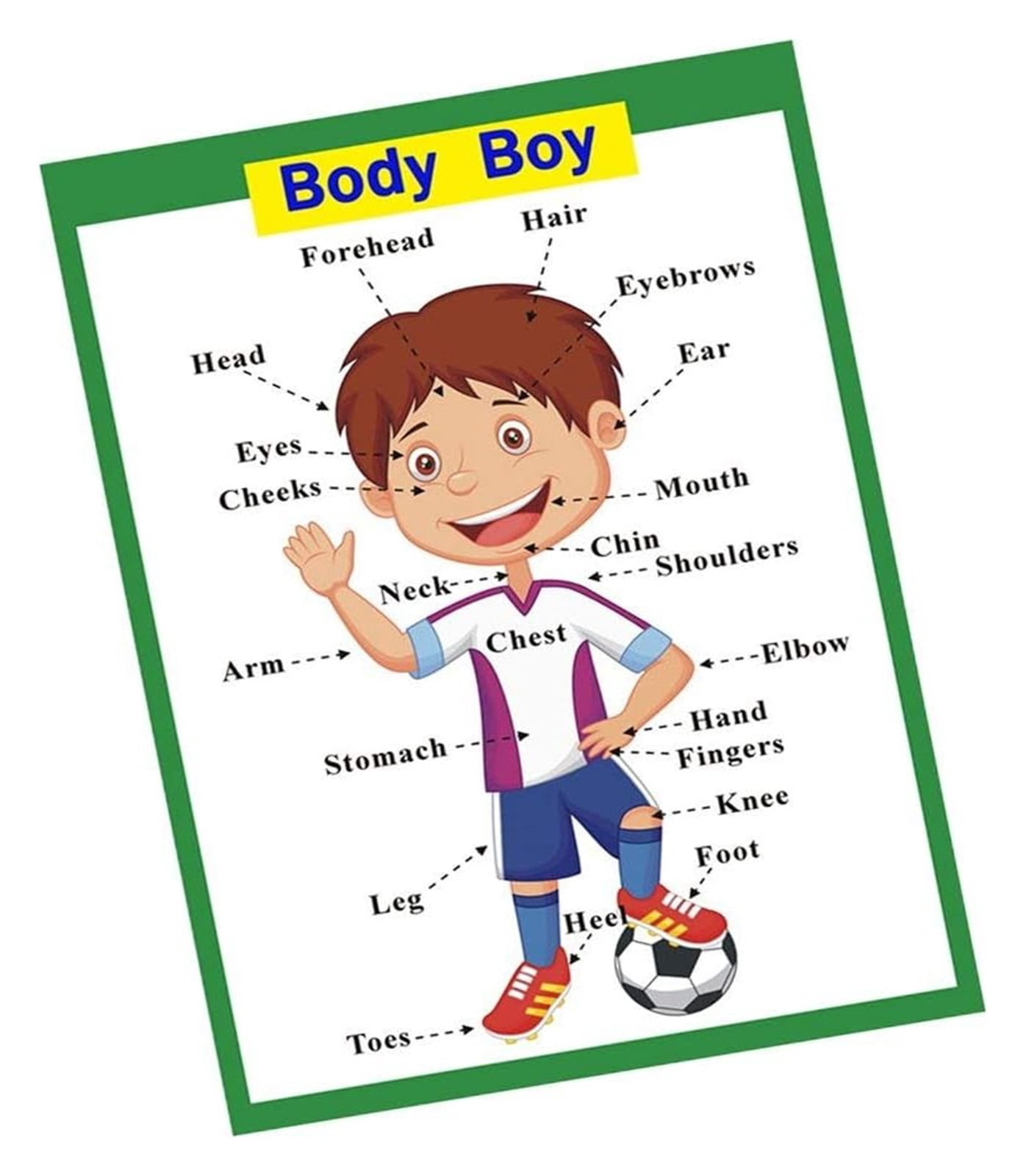 Body Parts Educational Poster for Boys - Learning Chart of the Body for ...