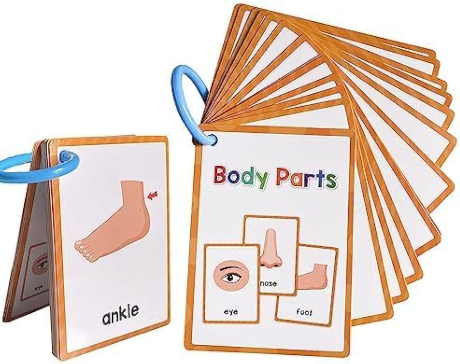 Body Parts Learning Flashcards, High Frequency Words, Beginning Reading ...