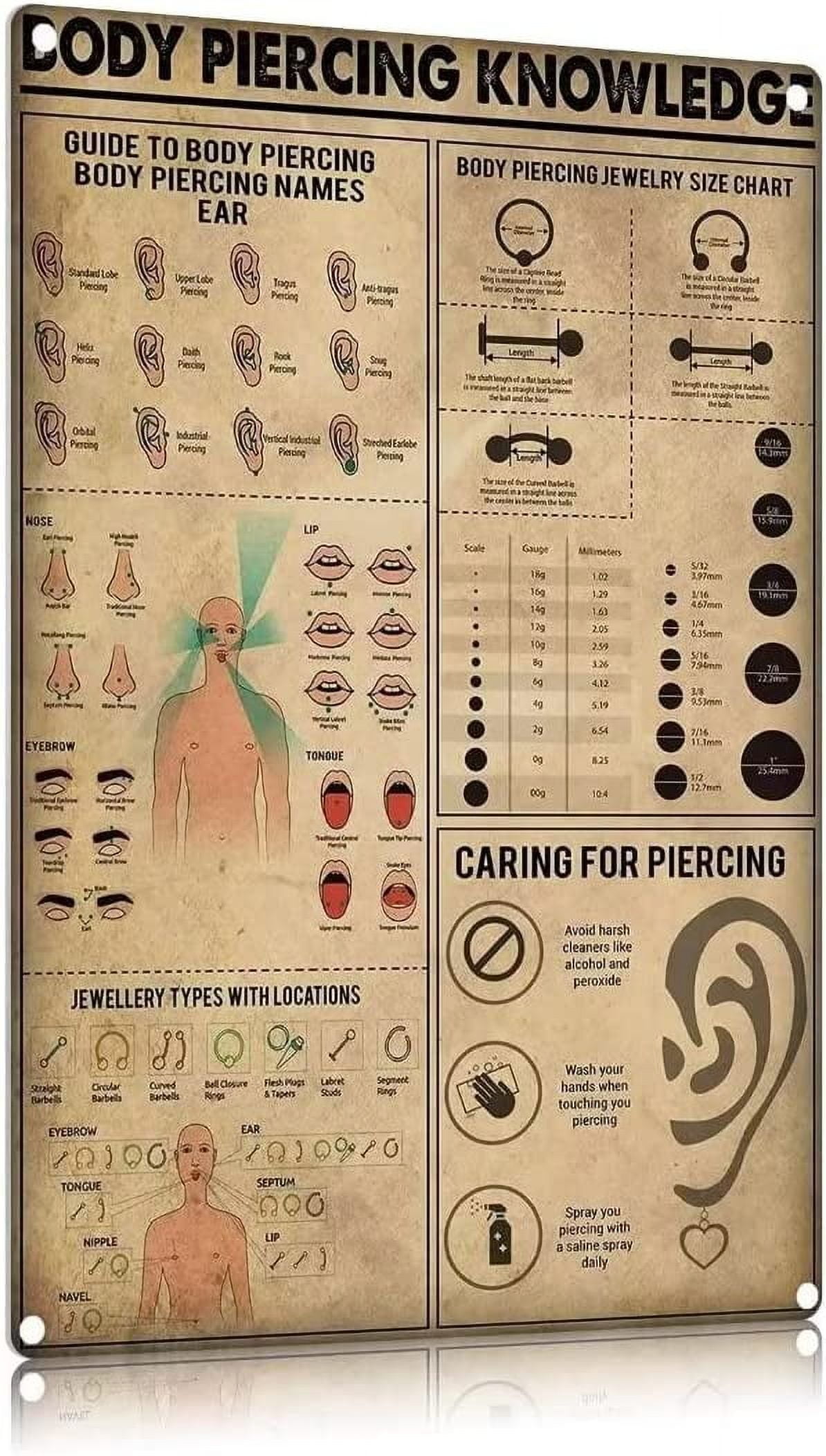 Body Piercing Knowledge Human Body Systems Metal Tin Signs Human ...
