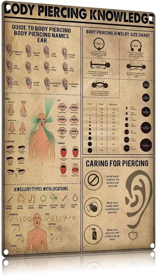 Body Piercing Knowledge Human Body Systems Metal Tin Signs Human ...