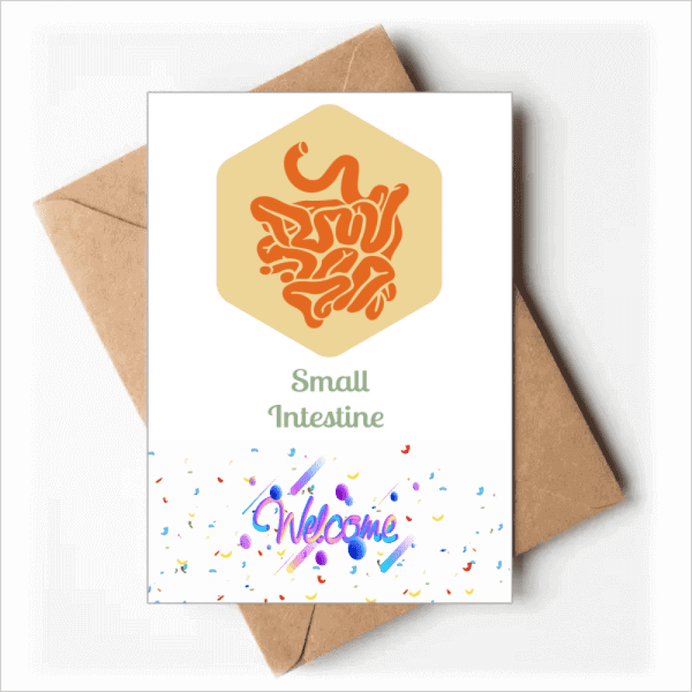 Body Small Intestine Welcome Back Greeting Cards Envelopes Blank ...