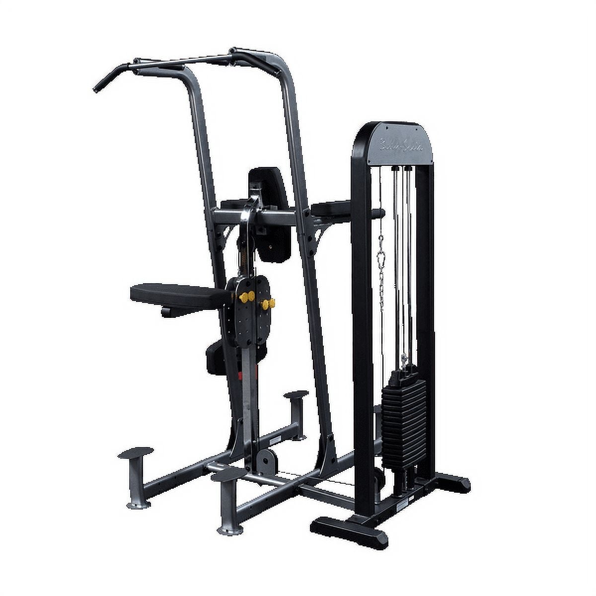 Body-Solid FCDSTK3 Pro Select Weight Assisted Dip and Chin Station ...