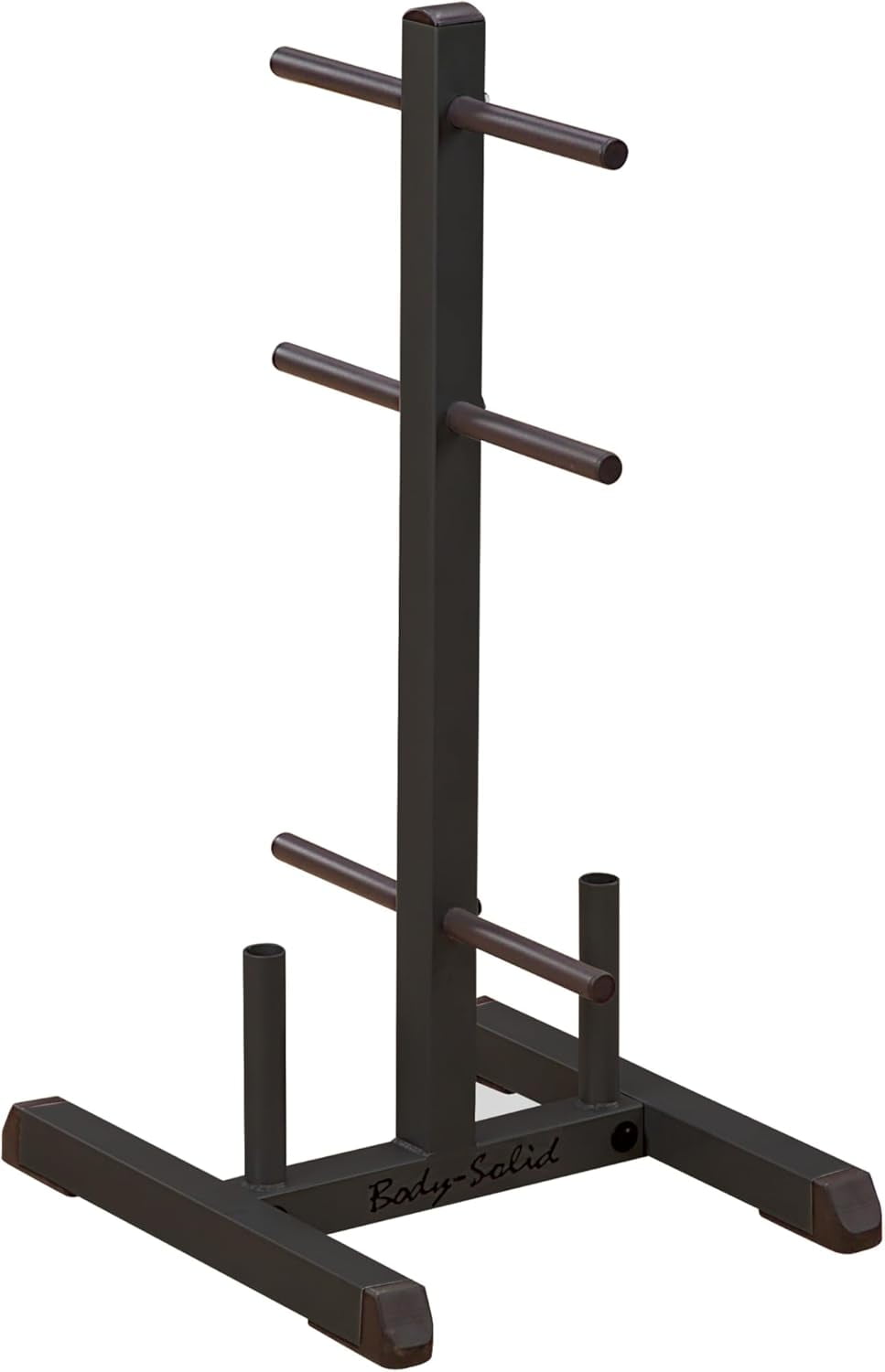 Body-Solid (GSWTB) Standard Weight Plates Tree & Bar Holder - 1000 lb ...