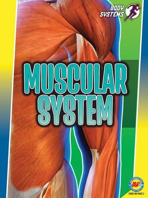 Body Systems: Muscular System (Paperback) - Walmart.com