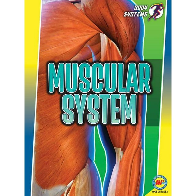 Body Systems: Muscular System (Paperback) - Walmart.com