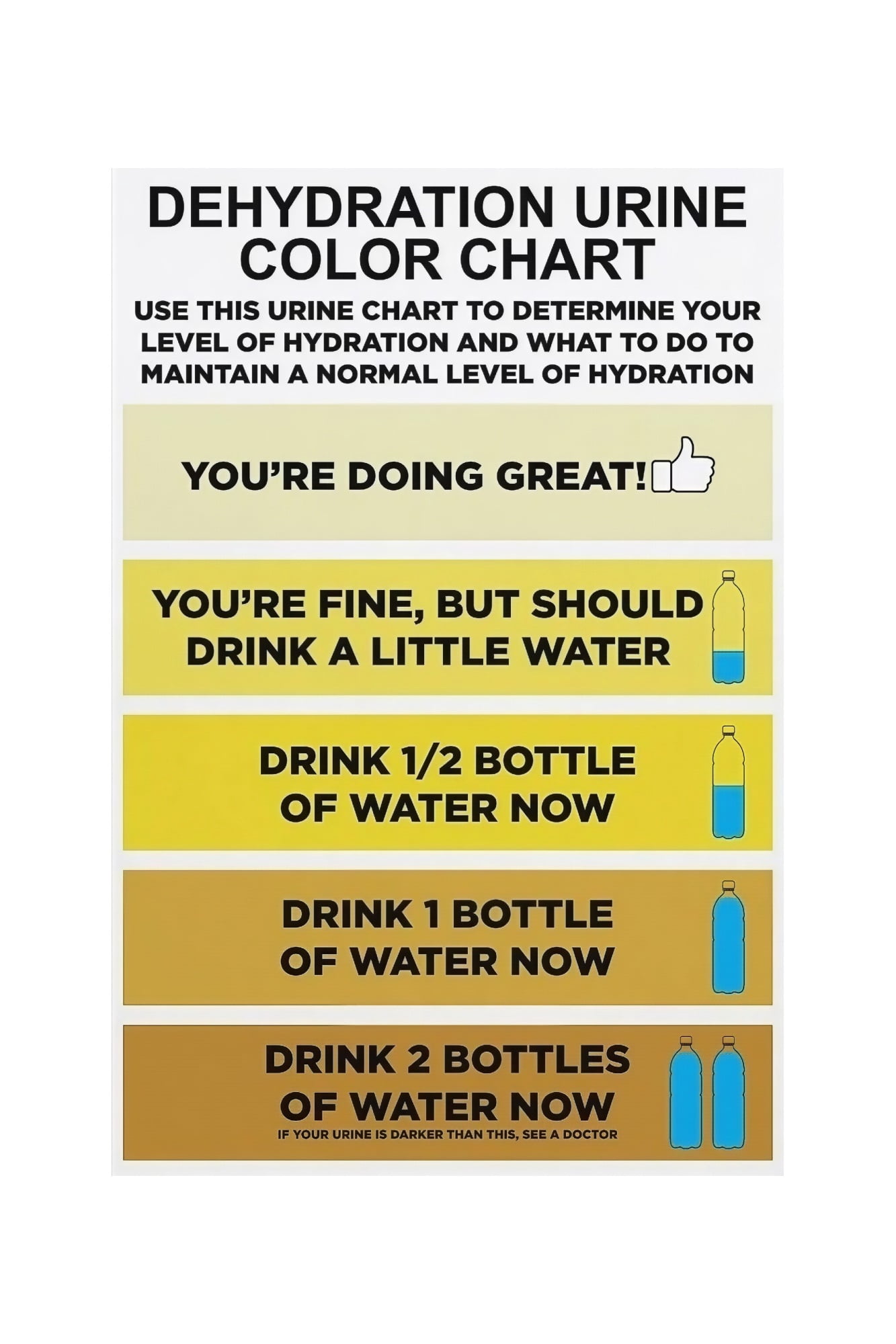Body Water Chart Poster Urine Color and Hydration Level Reference Guide ...