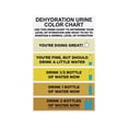 Body Water Chart Poster Urine Color and Hydration Level Reference Guide ...