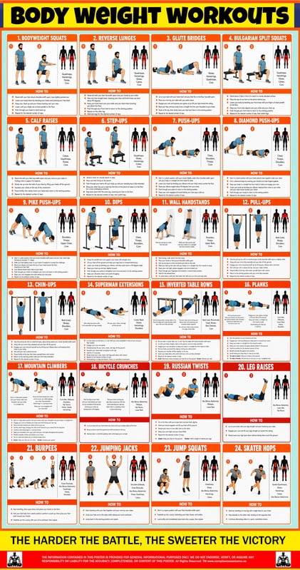 Body Weight Workouts Poster Laminated – Exercise Guide with Muscle ...