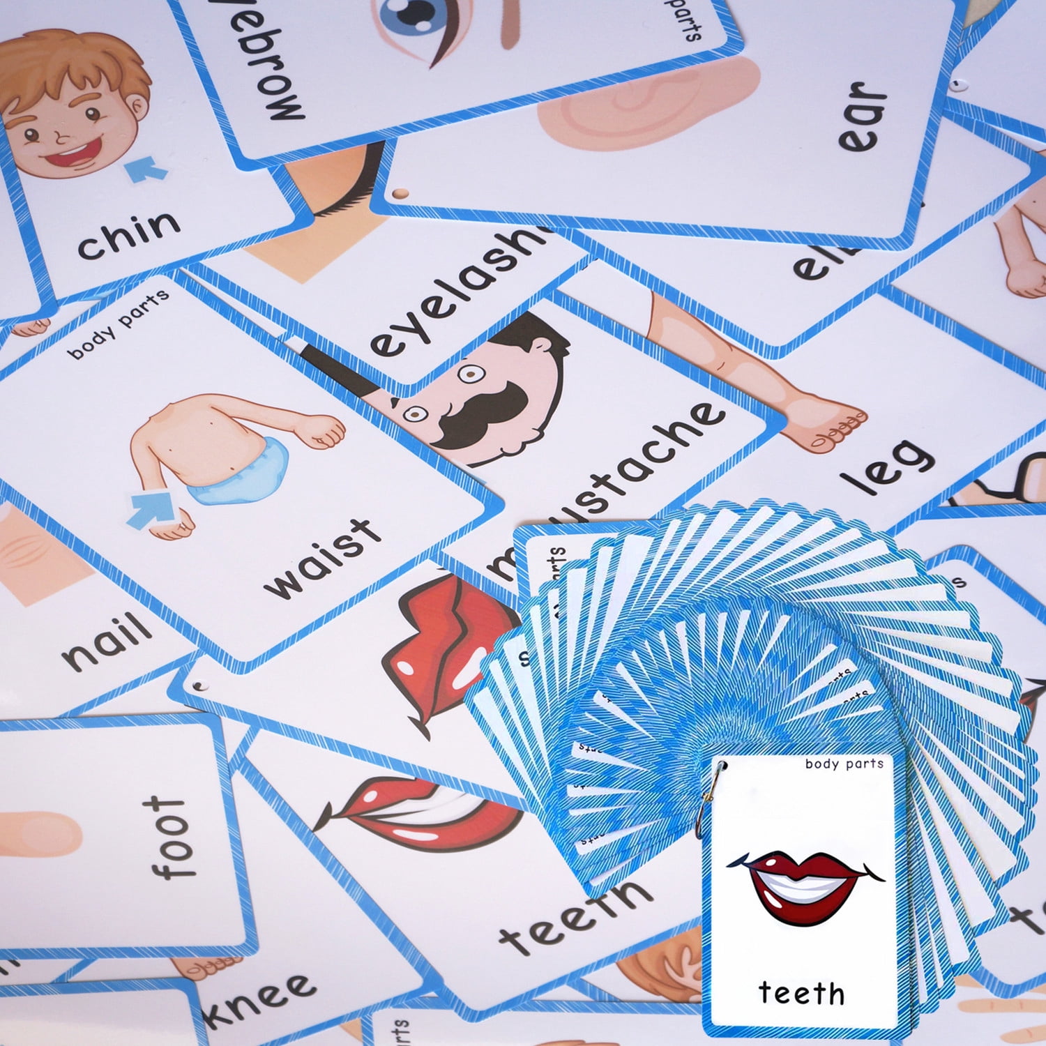 Body parts Flash Cards | Learning Toys Flashcards for Children Pre-K ...