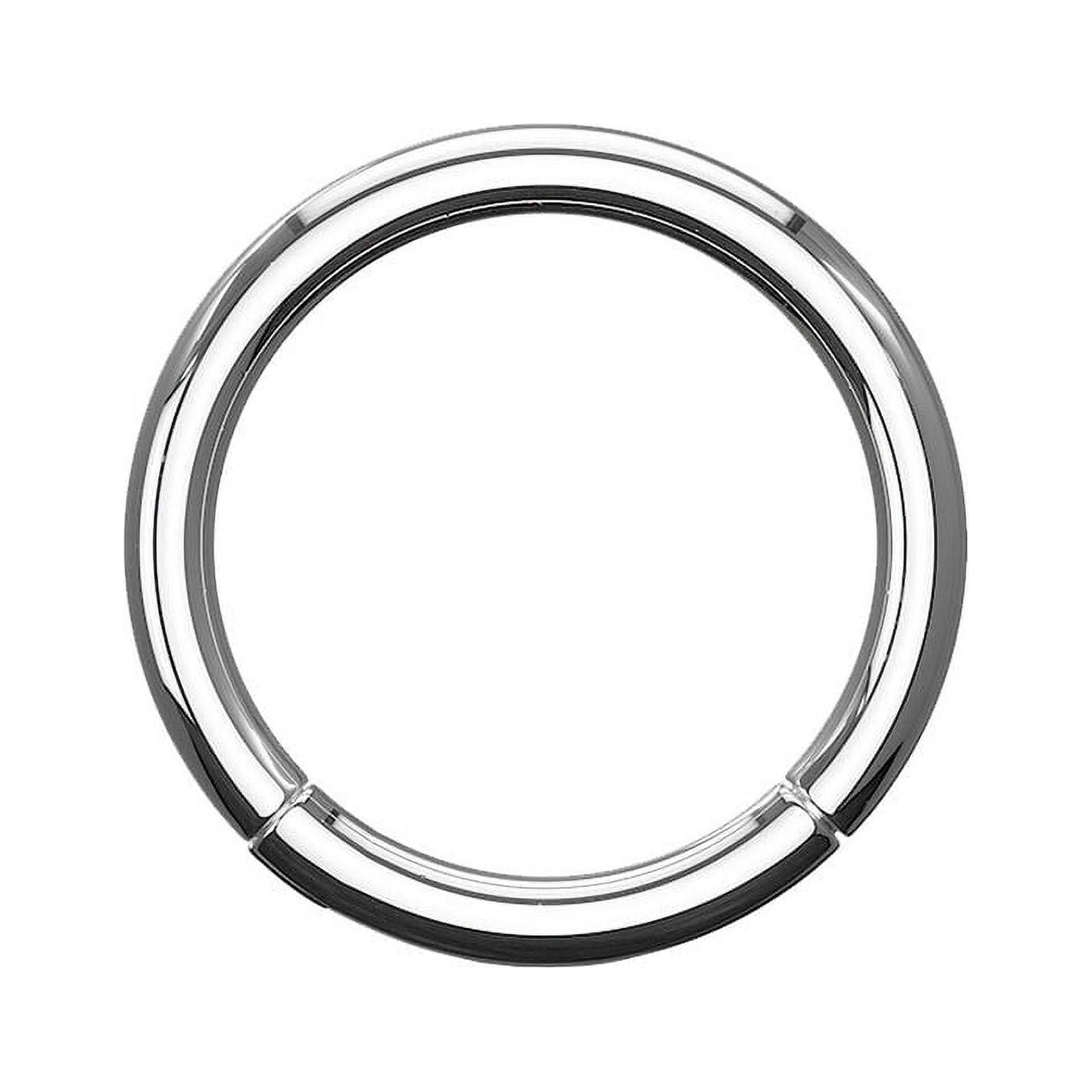BodyJewelryOnline 16G 18G 20G Hoop Ring Implant Grade Titanium Hinged ...