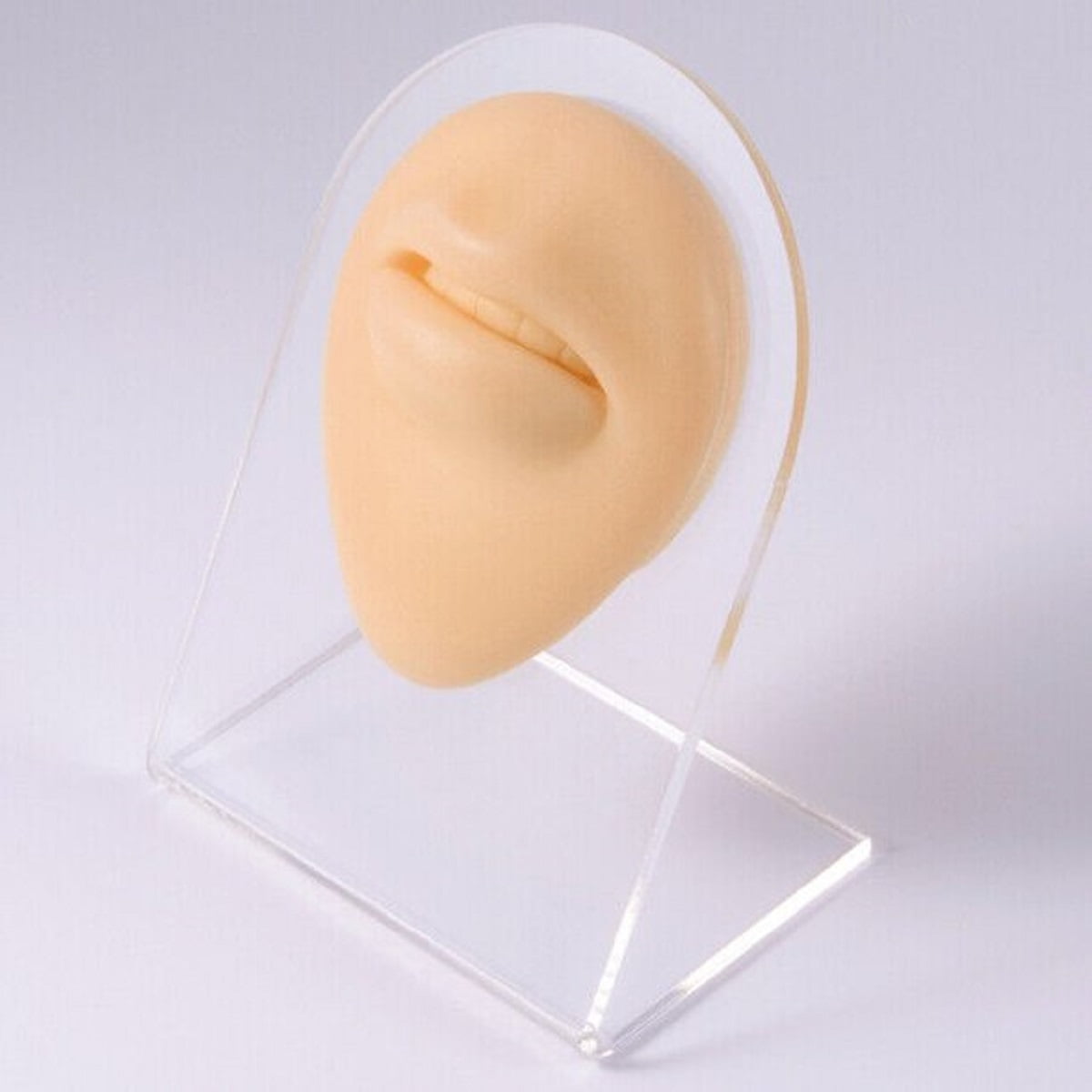 BodyJewelryOnline 1pc Soft Silicone Flexible Model Body Part Display ...