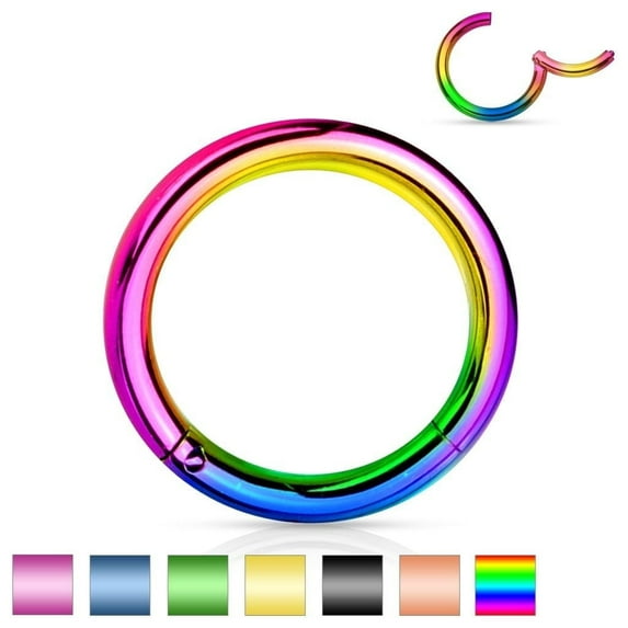 BodyJewelryOnline Segment Hoop Ring Beautiful Anodized IP Hinged Multi ...