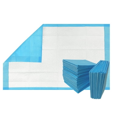 North Bloodborne Pathogen Decontamination Station, Wall Mount, Includes ...