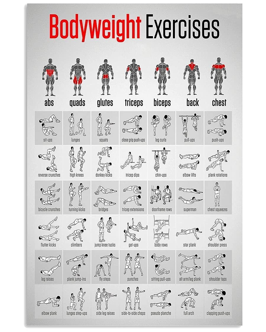 Bodyweight Exercises Vintage Gym Decor Exercise Knowledge Tin Poster ...
