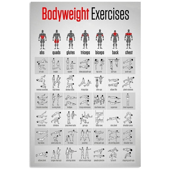 Bodyweight Exercises Vintage Gym Decor Exercise Knowledge Tin Poster ...