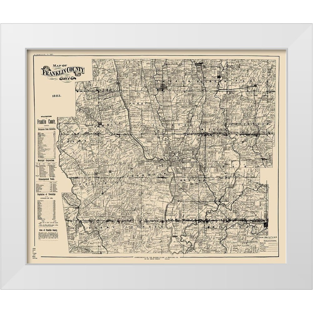 Boehm 17x15 White Modern Wood Framed Museum Art Print Titled - Franklin ...