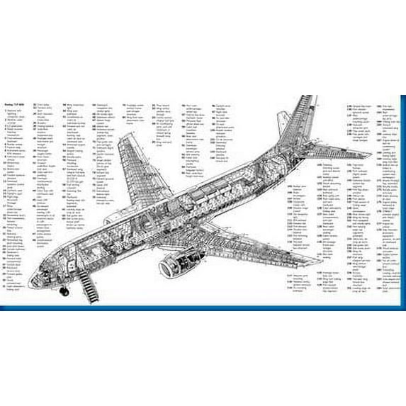 Boeing 737 Cutaway Military Aircraft Poster 24x36 Multi-Color Square ...