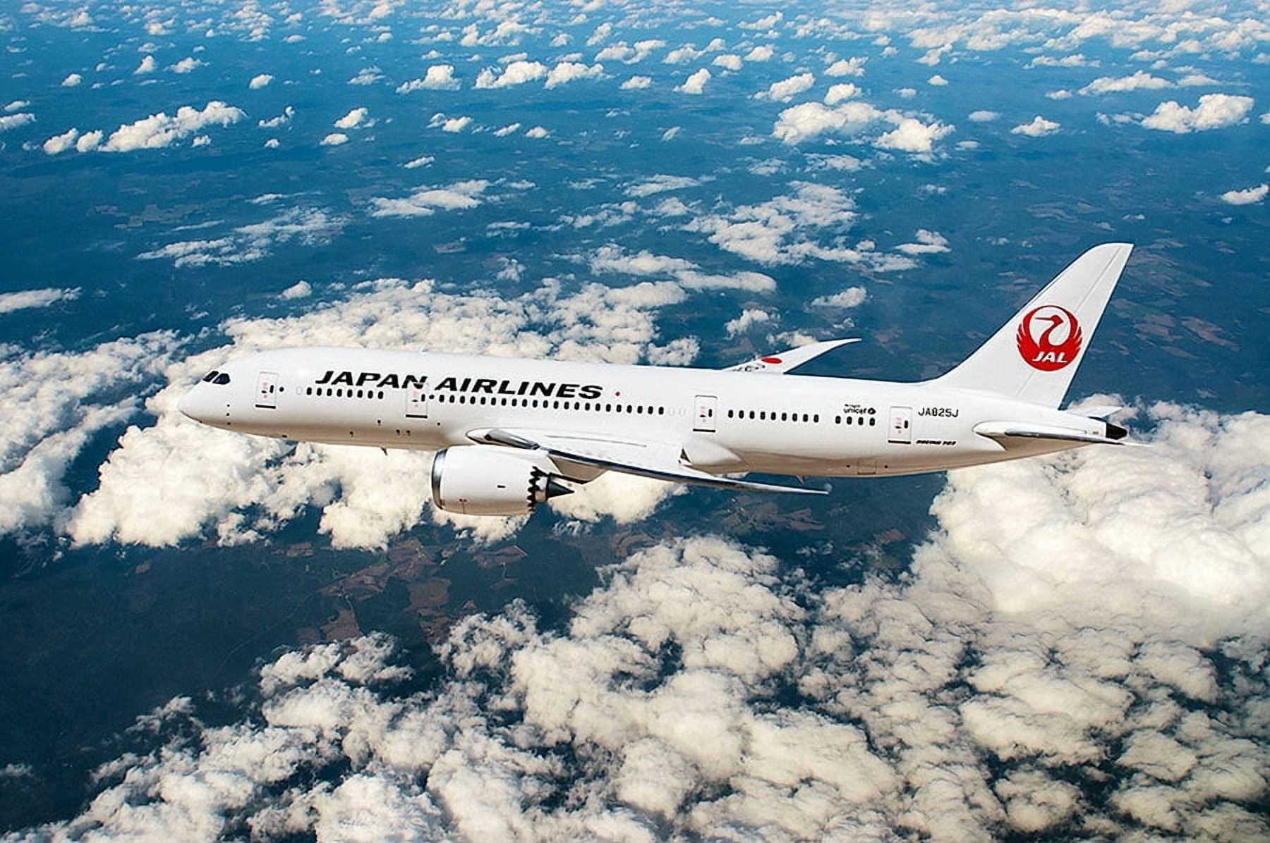 Boeing 787-8 Dreamliner Japan Airlines Style -1 - 24x36 Inch Laminated ...