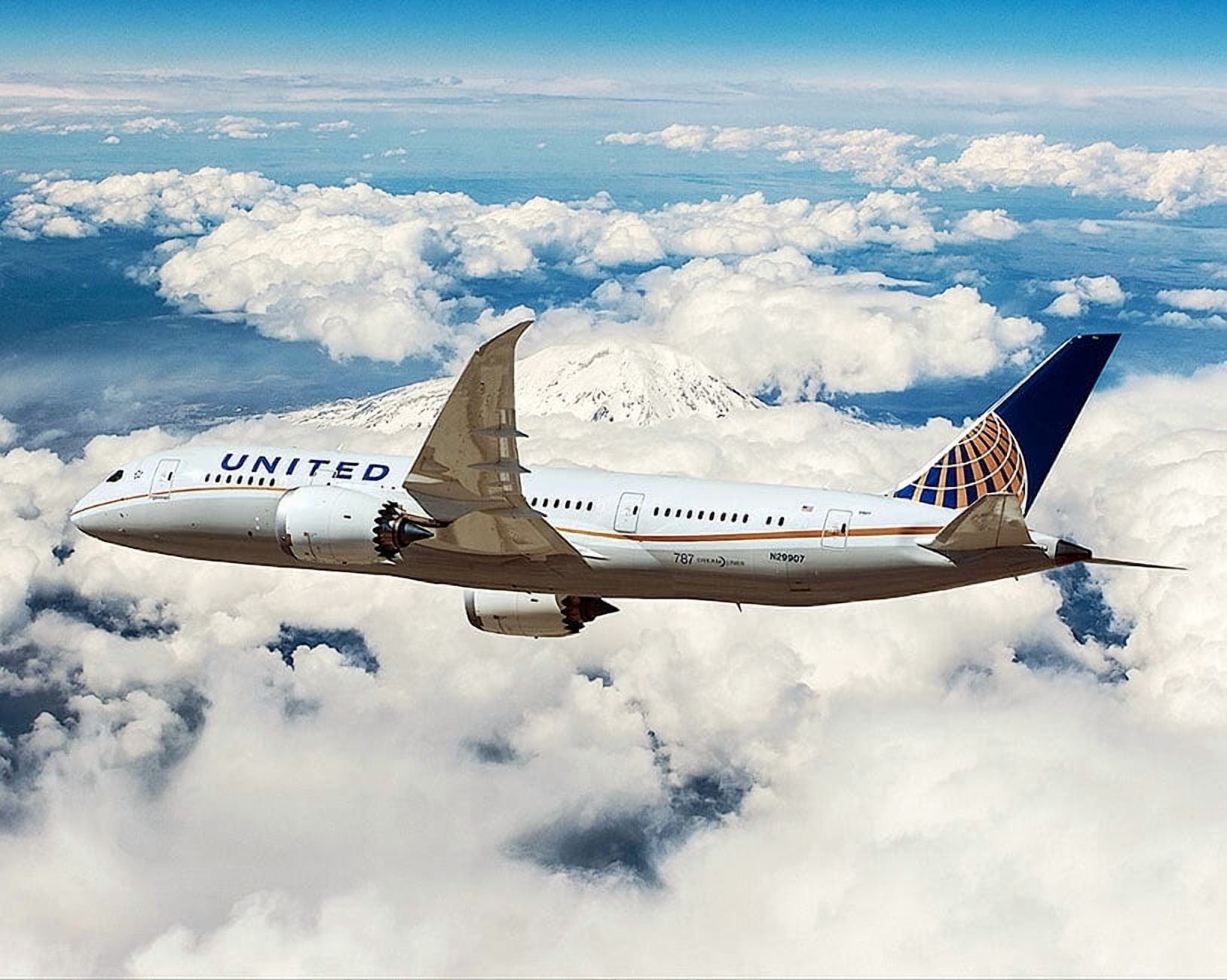 Boeing 787-8 Dreamliner United Air Lines Style - A - 24x36 Inch ...