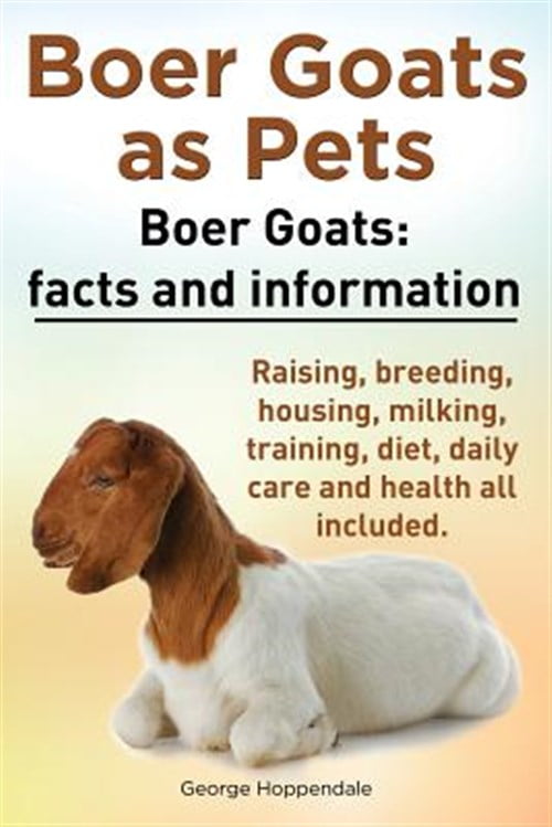 Pre-Owned Boer Goats as Pets. Boer Goats facts and information. Raising ...