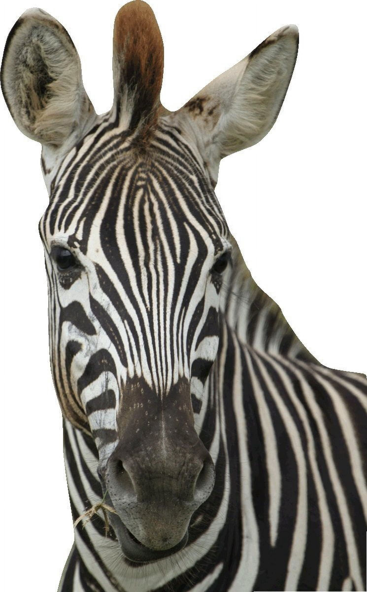 Boer Zebra Cutout I Wall Decal Cutout - Walmart.com