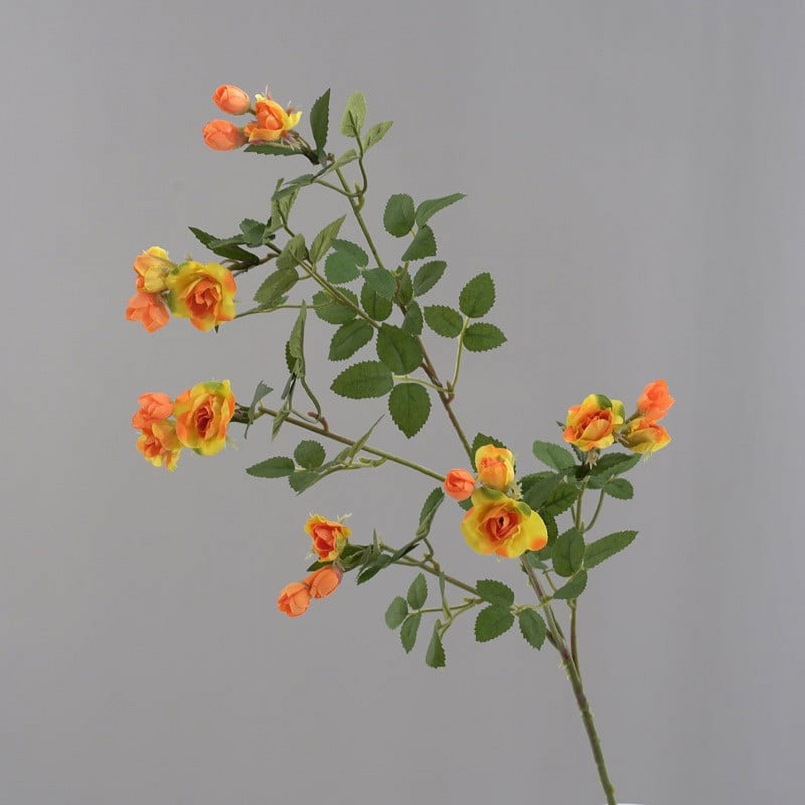 Bogg Bag Storage and Organization Gifts Nylon Not Wet Water Large ...