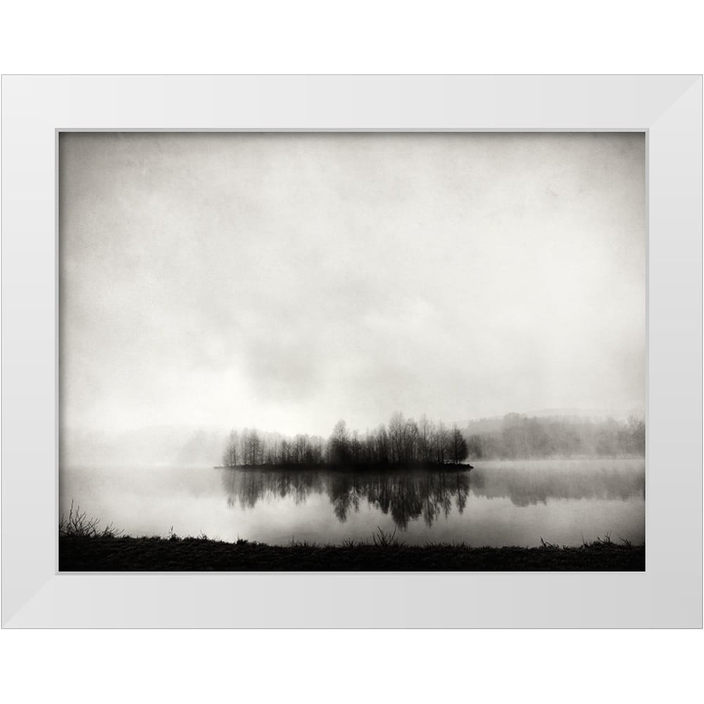 Bogner, Franz 24x19 White Modern Wood Framed Museum Art Print Titled ...
