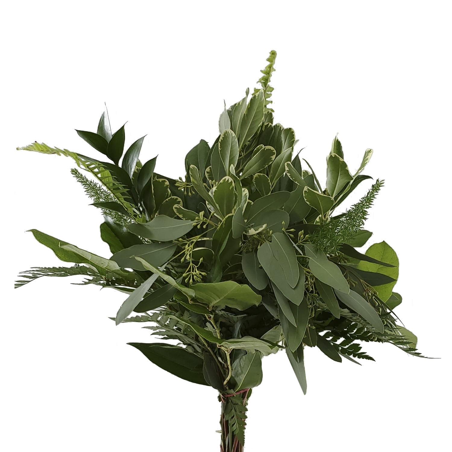Bohemian Greens Bouquet 5 Pack of Farm Direct Fresh Cut Flower Bouquets ...