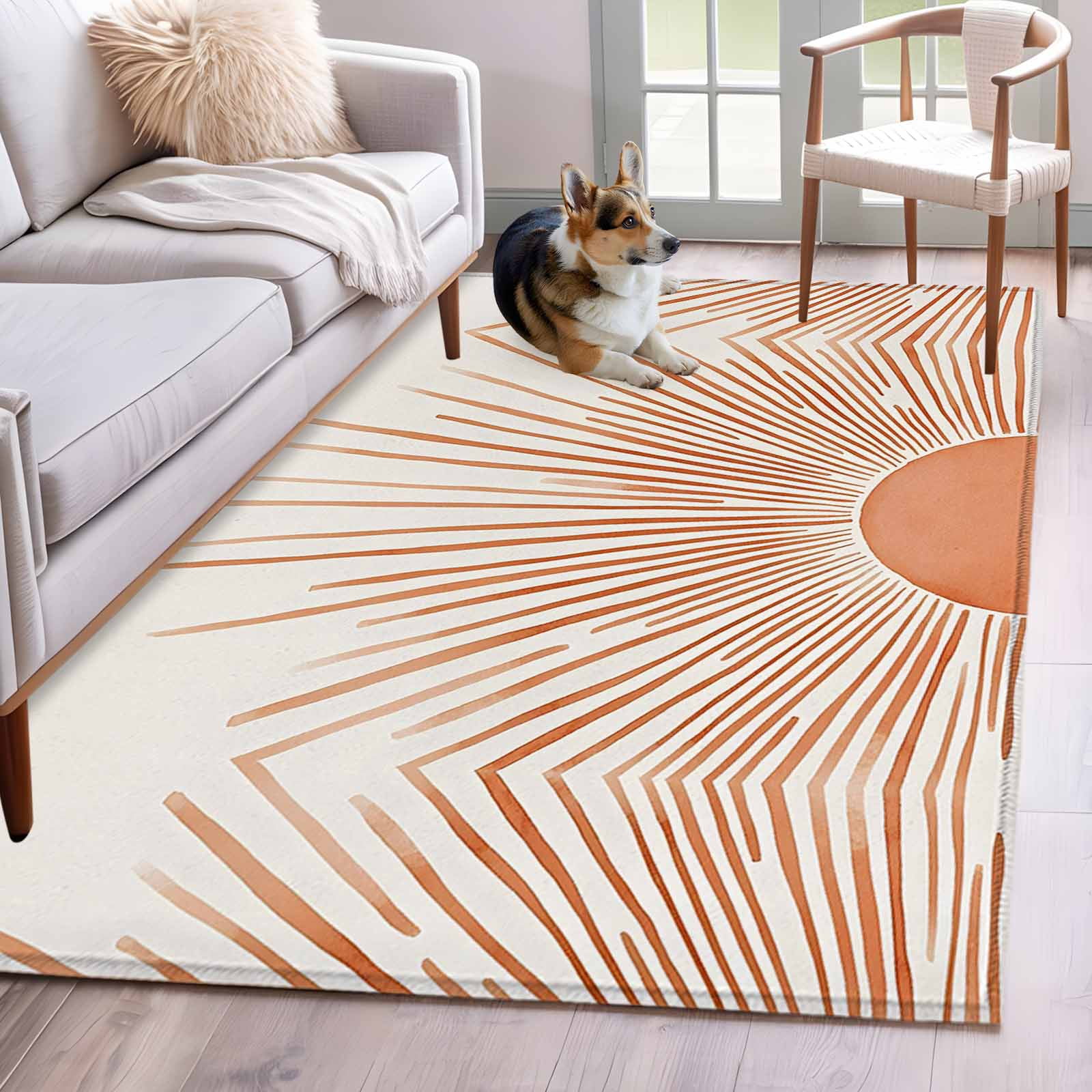 Boho Abstract Sun Area Rug 4x6 Washable Rug Non Slip Modern Beige Sun ...