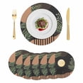 Boho Black Round Placemats Set of 6, Braided Polypropylene Place Mats ...