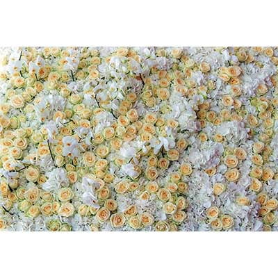 Boho Farm Cowboy Photography Background Autumn Bohemia Cowboy Photoz ...