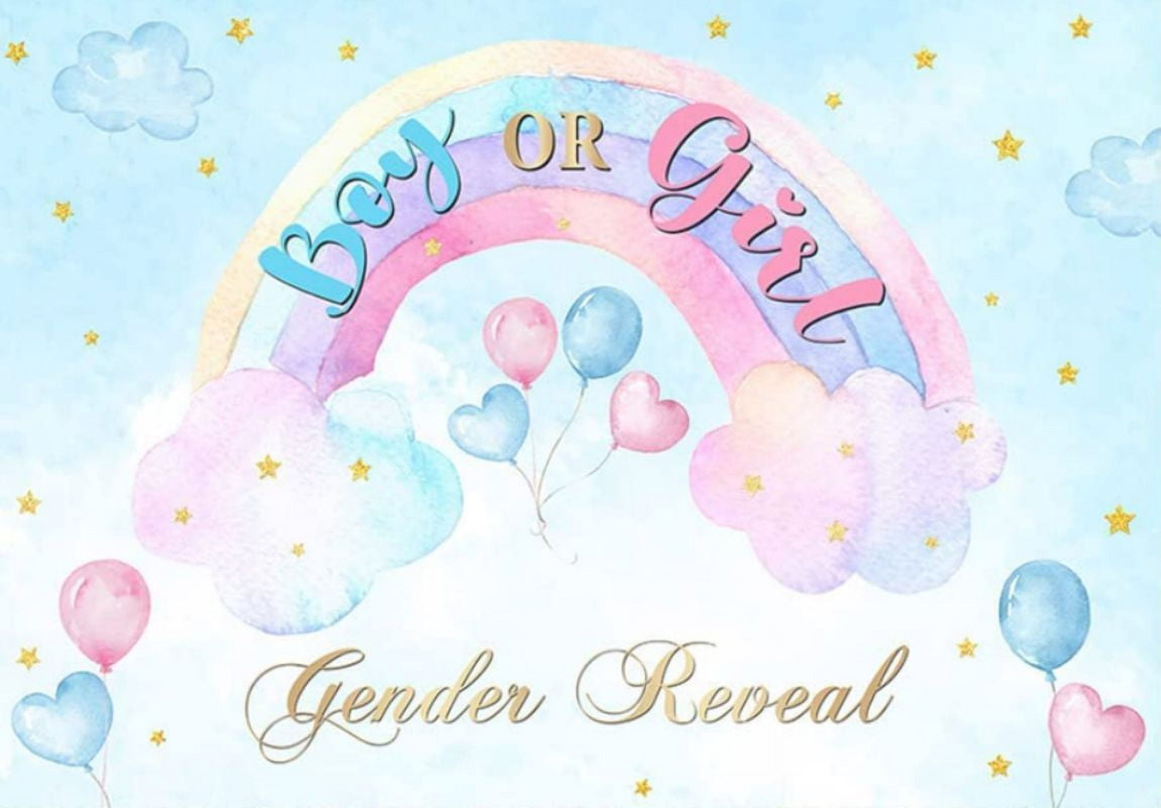 Boho Gender Disclosure Background Pink Blue Flower Balloon Boy or Girl ...