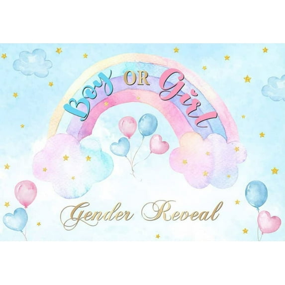 Boho Gender Disclosure Background Pink Blue Flower Balloon Boy or Girl ...