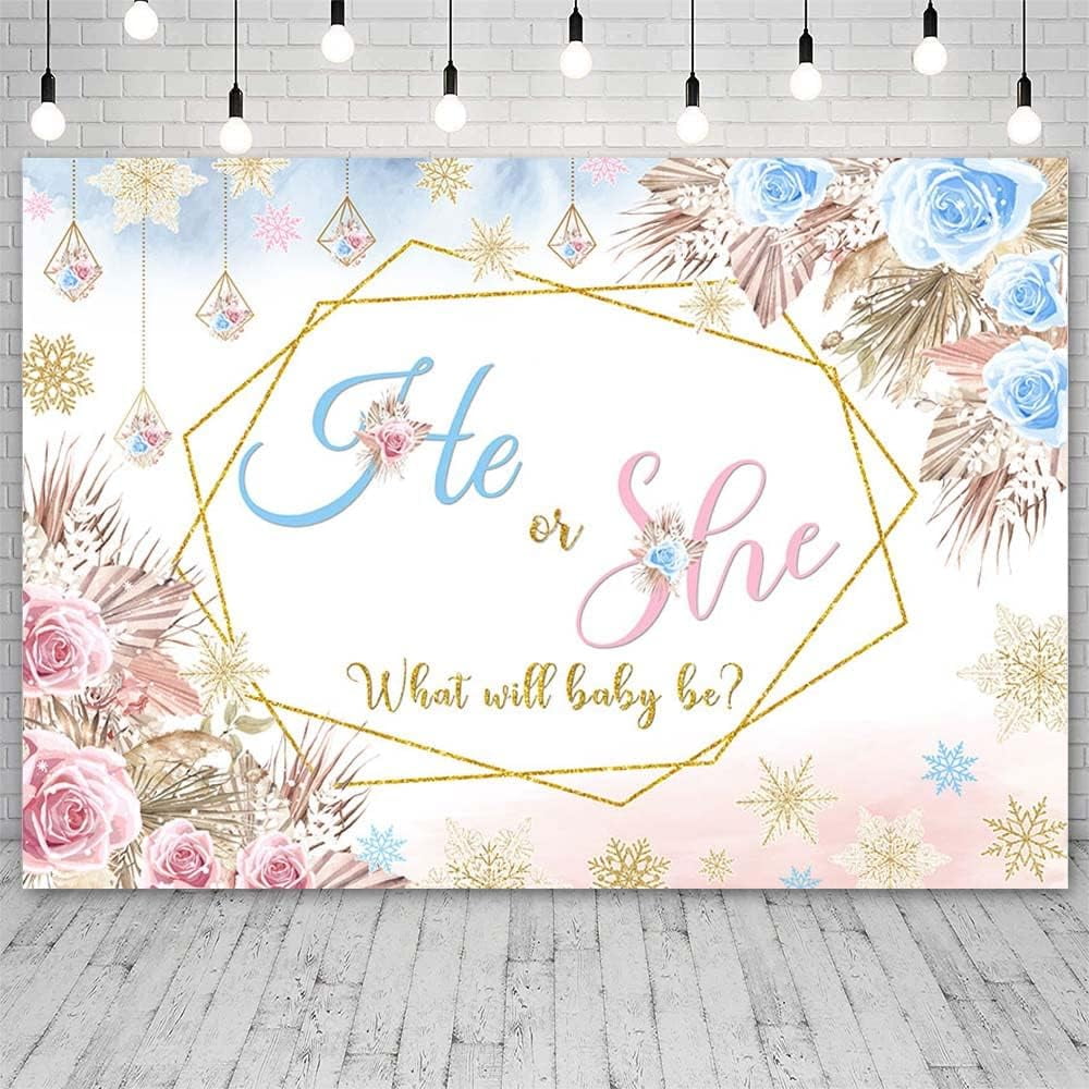 Boho Gender Reveal Backdrop Winter Snowflake Photography Background He ...
