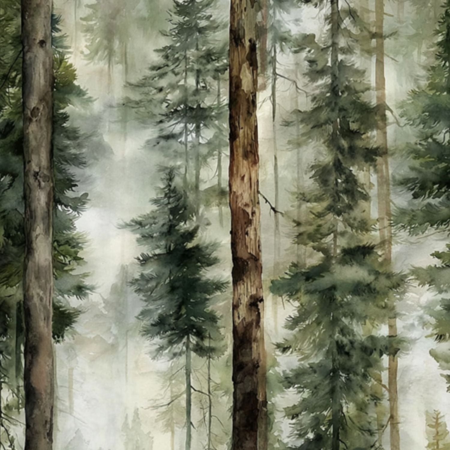 Boho Peel and Stick Wallpaper Misty Forest Tall Pine Trees Soft ...