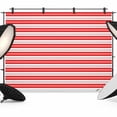 Boho Red Stripe Backdrop for Photography,Fabric Photo Background ...