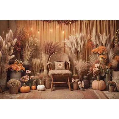 Boho Thanksgiving Photography Background Thatch Arch Pumpkin Photoz ...