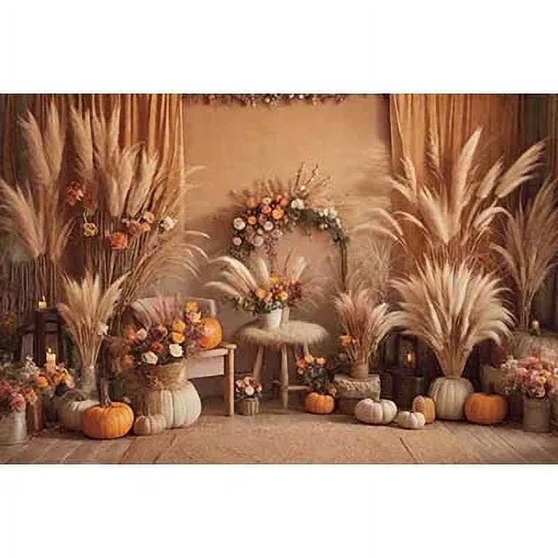 Boho Thanksgiving Photography Background Thatch Arch Pumpkin Photoz ...