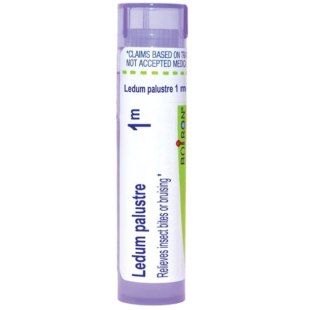 Boiron Ledum Palustre 1M, Homeopathic Medicine for Insect Bites Or ...