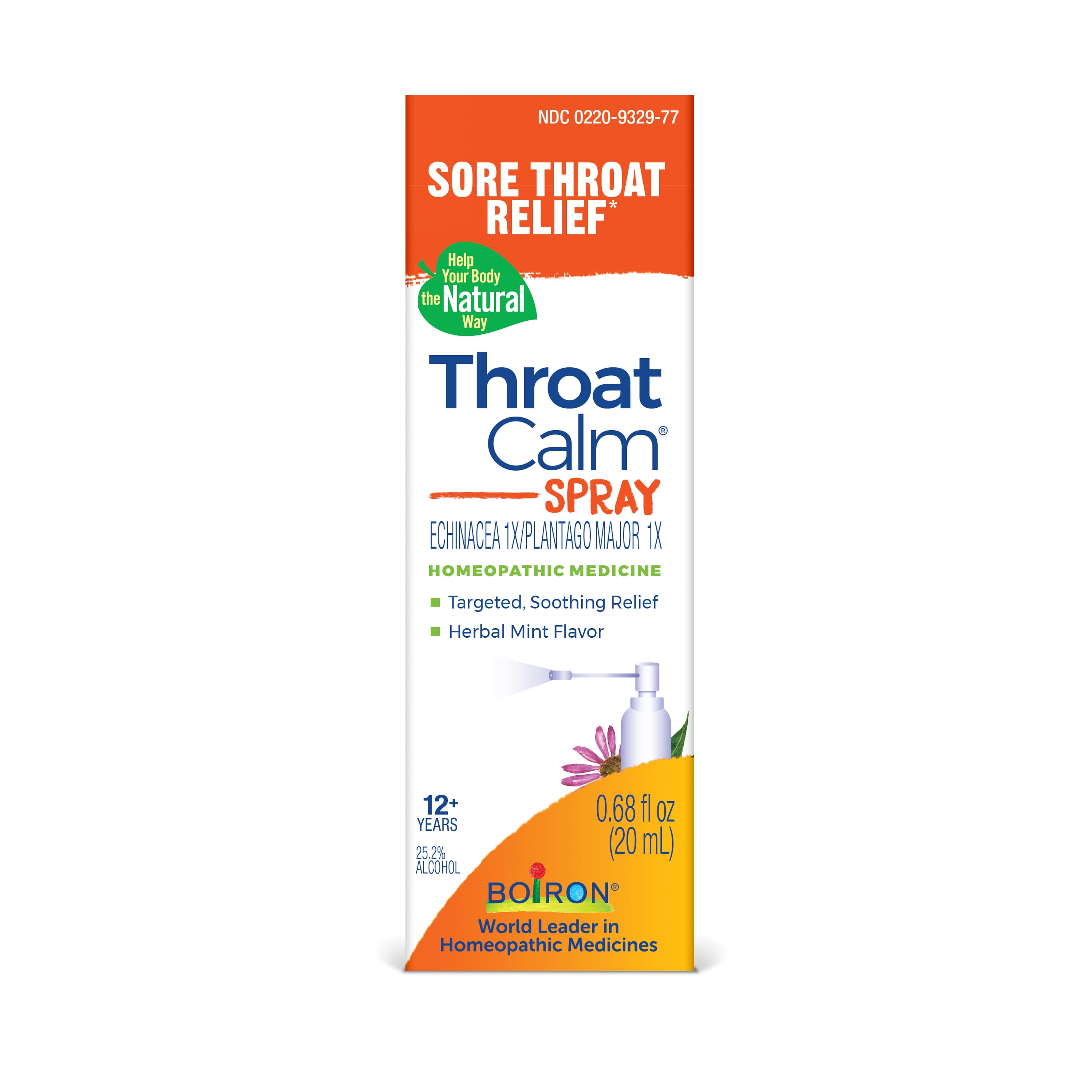 Boiron ThroatCalm Spray, Adult Sore Throat Relief, Homeopathic Medicine ...