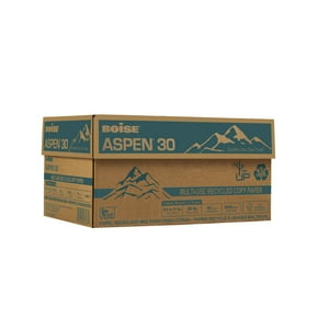 10 Ream Copy Paper in Paper - Walmart.com