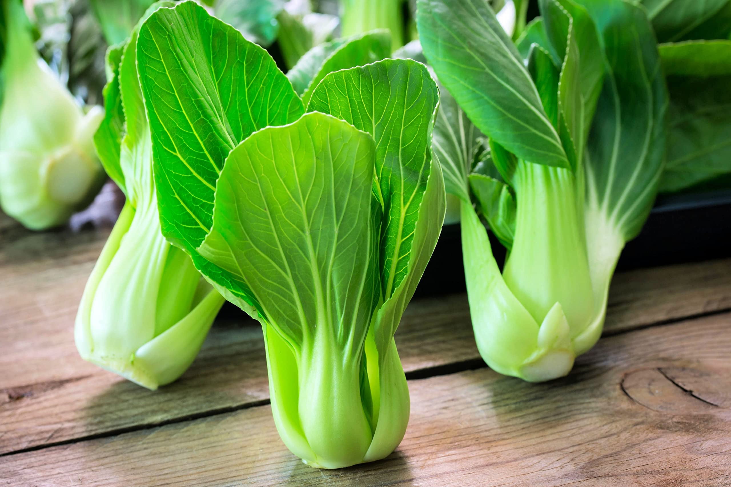 Bok Choy Chinese Cabbage Seeds for Planting - (Pak Choi) Heirloom, Non ...