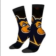 Bold Bear Face Socks - 2 Pairs of Unisex Trendy Socks with Vibrant ...