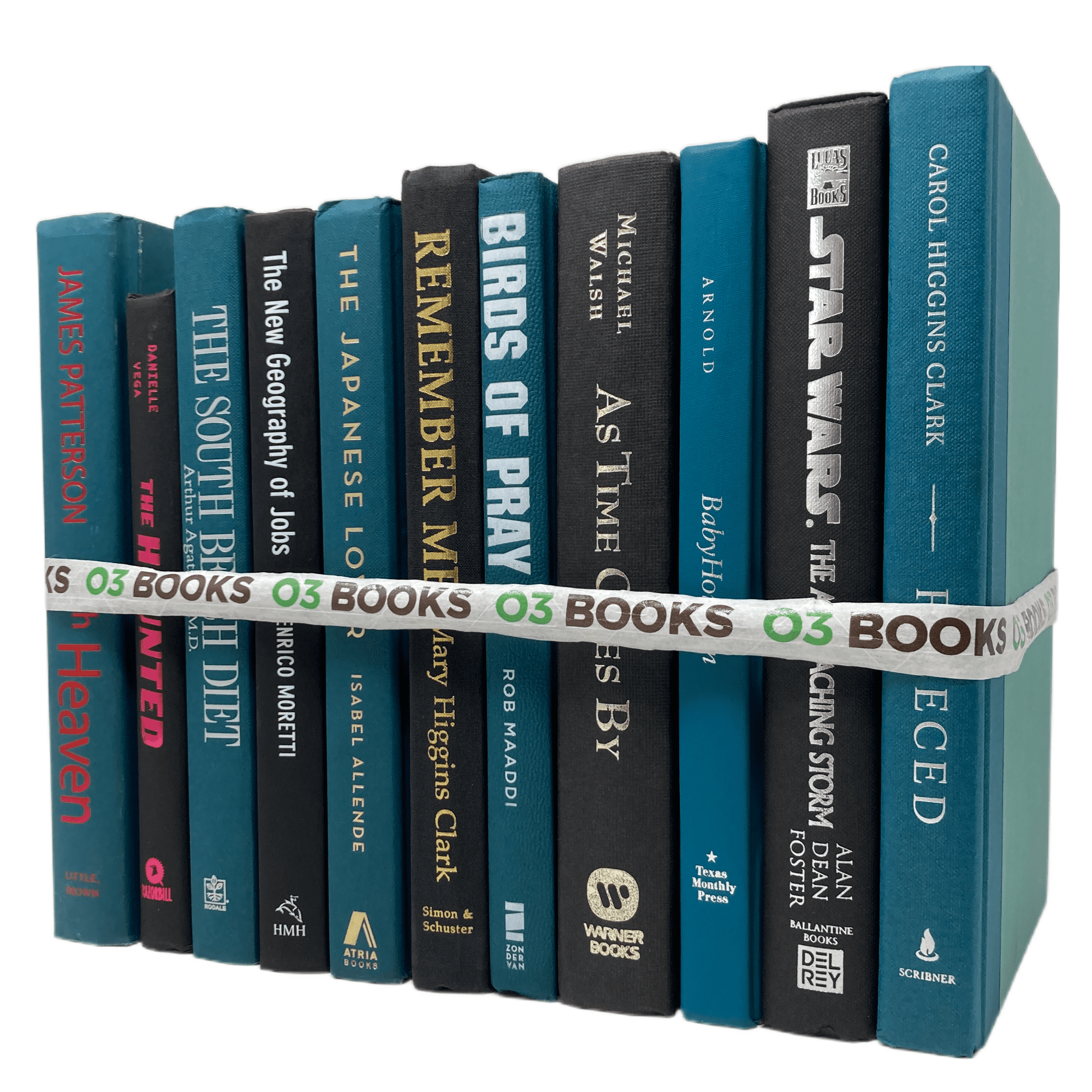 Bold Contrast Decorative Books Black and Teal - Walmart Business Supplies