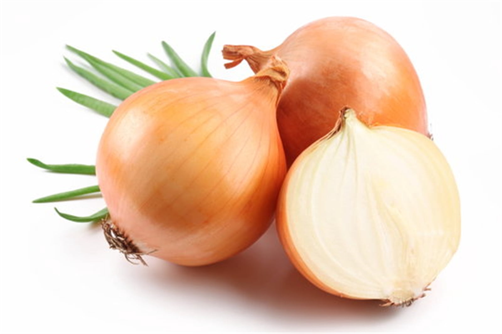 Bold Flavor, Home Garden, Onion Sweet Organic - Wonderful Large ...