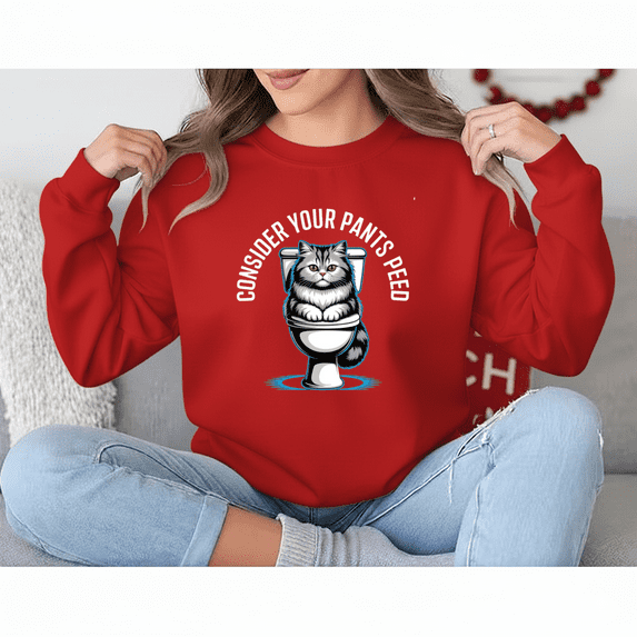 Bold Funny Humor Quote Statement Confident Cheerful Energy Sweatshirt ...