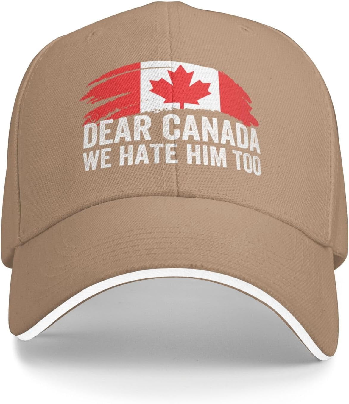 Bold Retro Hat – Dear Canada, We Dislike Him Too – Flat-Brim ...