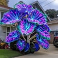 Bold Tropical Elephant Ear, Stylish Accent for Lawns & Pathways, Ideal ...