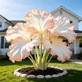 Bold Tropical Elephant Ear, Stylish Accent for Lawns & Pathways, Ideal ...