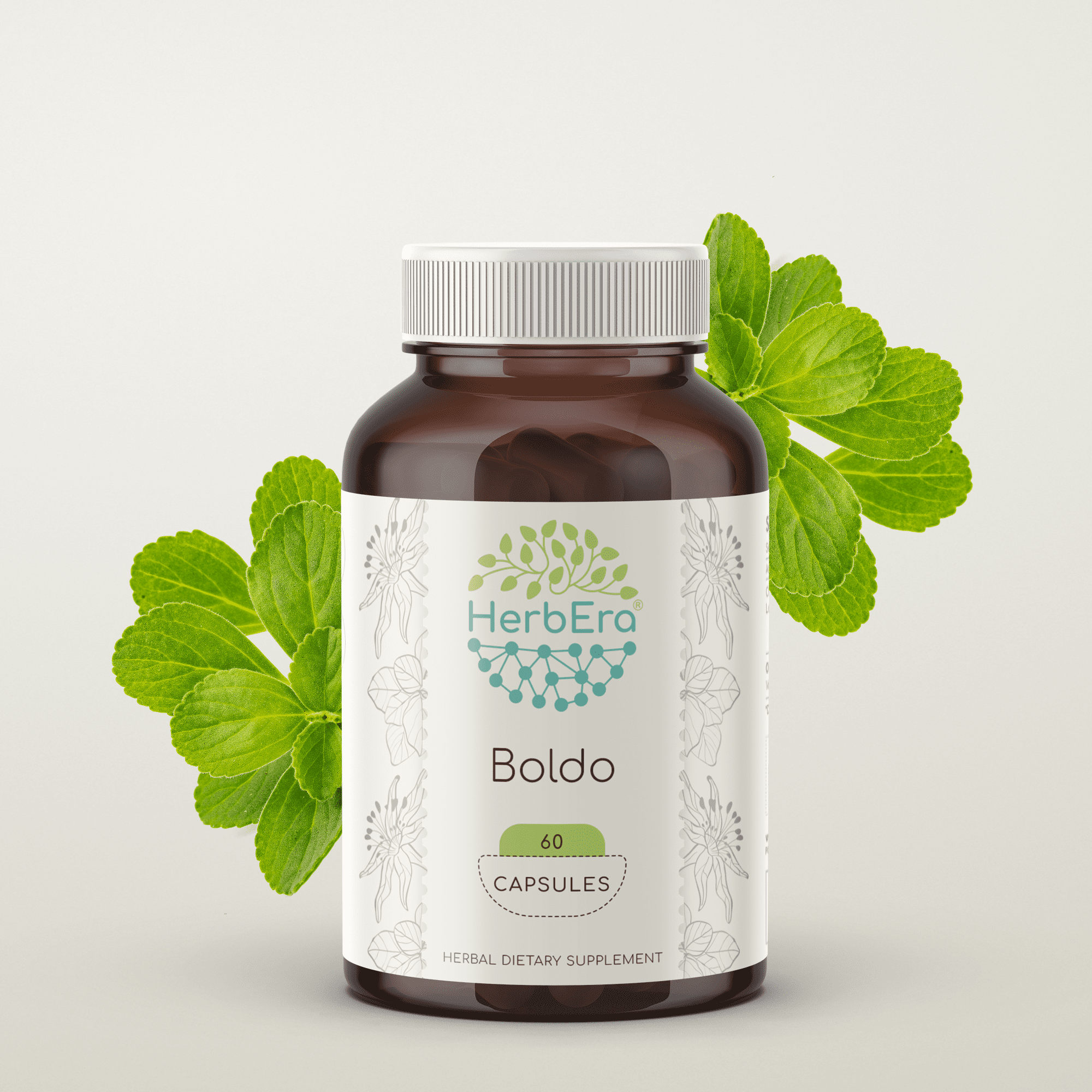 Boldo 120 Capsules, 500 mg, Organic Boldo (Peumus boldus) Dried Leaf ...